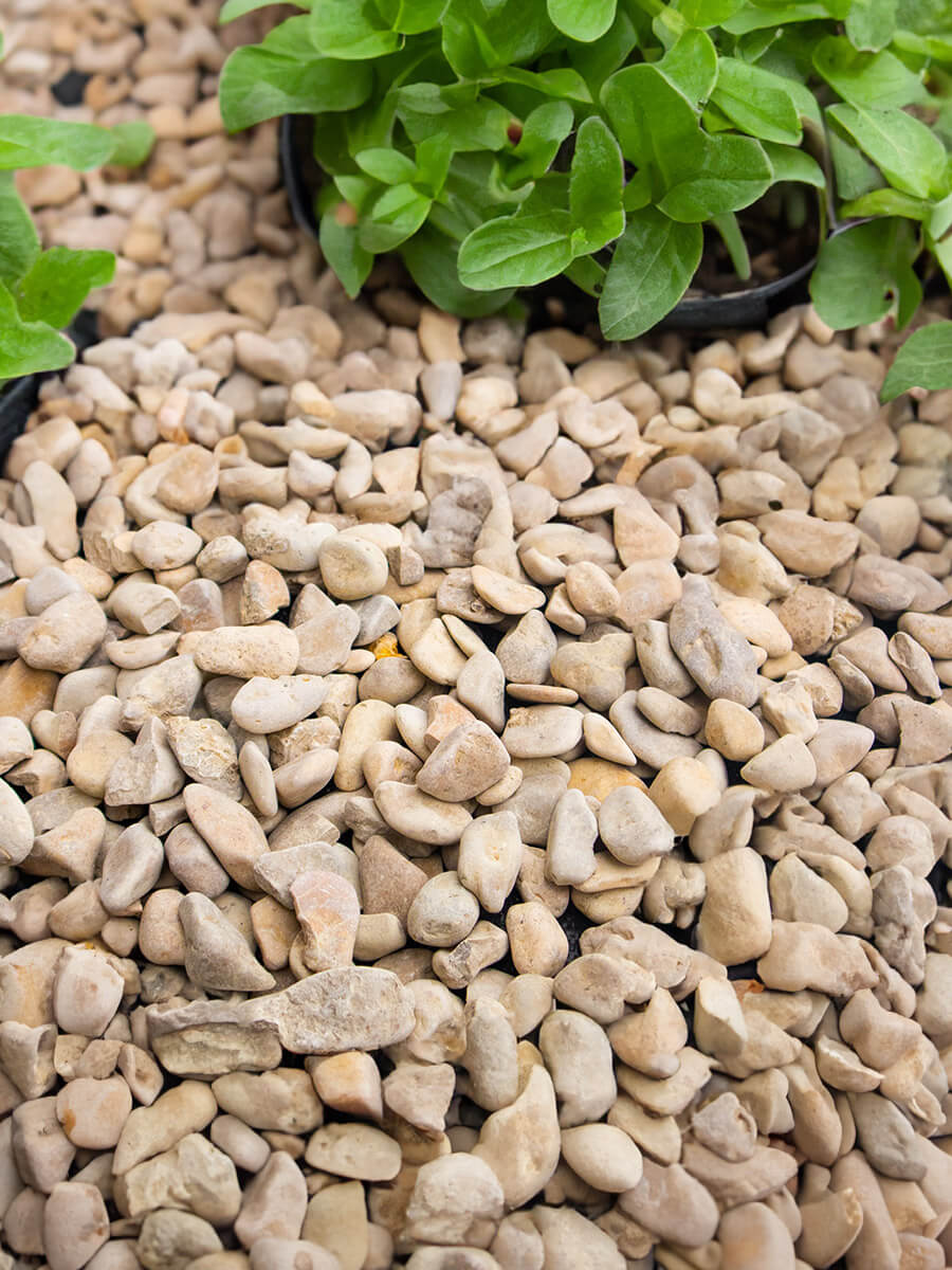 Castle grind kopen | 1000kg | Bestel nu