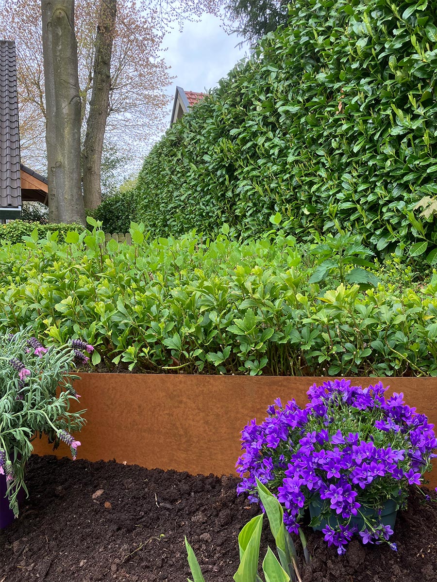 Cortenstaal afboording | Multi-Edge Metal Corten tuinafboording